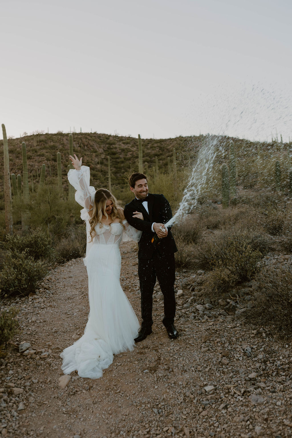 Saguaro National Park Elopement: Your Ultimate Guide - haleymoonenphotofilm.com